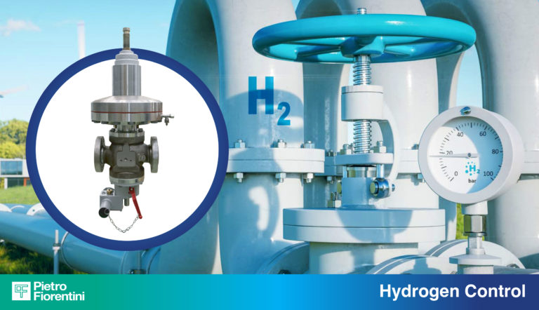 The Crucial Role of Hydrogen Control in a Sustainable Future - ECCO